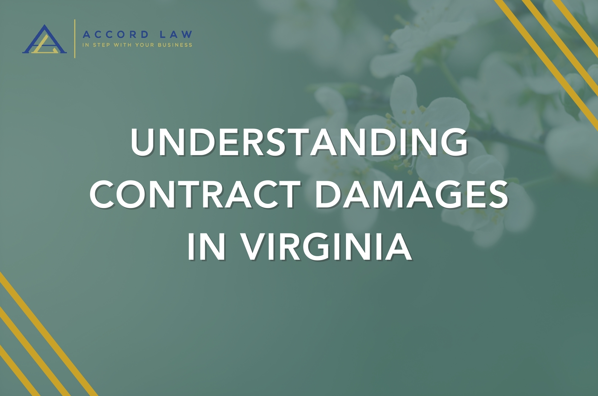 Understanding Contract Damages In Virginia - Accord Law, PLLC